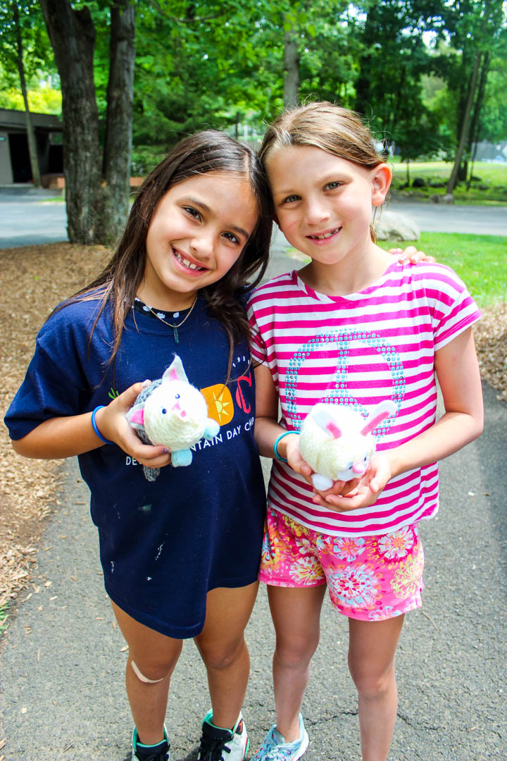 pigs – Deer Mountain Day Camp